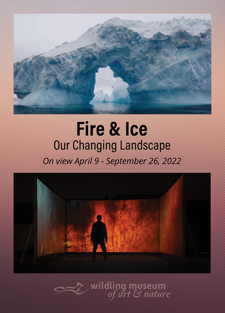 HOME - The Environment Makers - Projection, Lighting and Theming ...